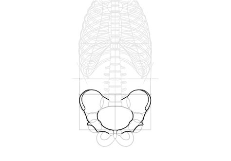 How To Draw A Skeleton Step By Step