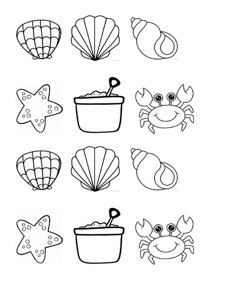Shells Pdf