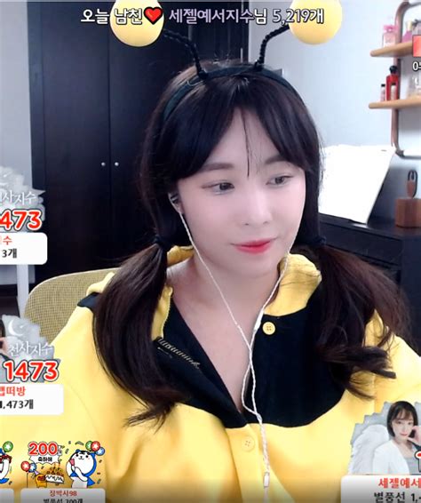 오늘의 꿀벌 스타크래프트 에펨코리아