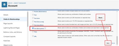 Salesforce Encrypted Field