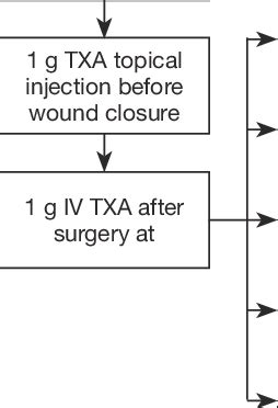 The Formulations Of Txa In The Single Dose Group And Three Day