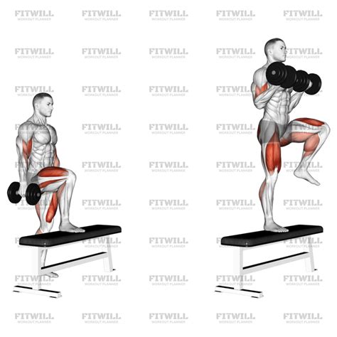 Dumbbell Step Up Single Leg Balance With Bicep Curl Exercise Guide