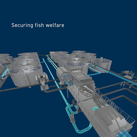 Mmc First Process As On Linkedin Seafood Processing Global 2024 • Mmc