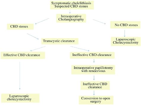 Flow Chart In The Treatment Of Cholecysto Choledocholithiasis Cbd
