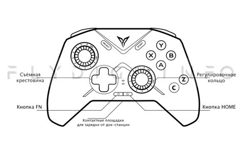 Геймпад Flydigi Vader 4 Pro Flydigi User Manuals