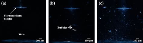 Bubble Growth In A Undersaturated B Saturated And C Download Scientific Diagram