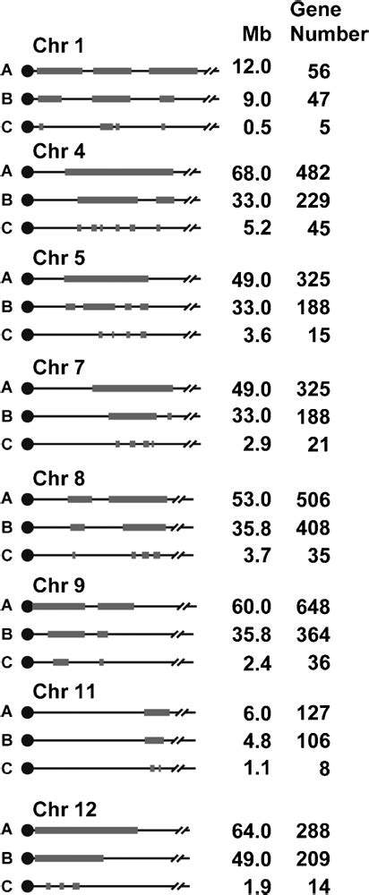 Narrowing Quantitative Trait Locus Qtl By Bioinformatics A The 95 Download Scientific