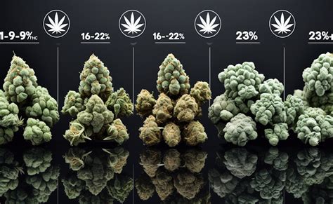 Thc Levels In Cannabis Seeds From Couch Lock To Rocket Fuel