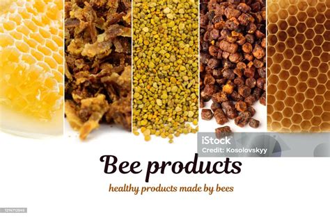 꿀벌 제품의 다양한 꿀 꽃가루 프로 폴리스 꿀벌 빵 왁스 Apitherapy 꿀벌이 만든 건강한 제품 벌에 대한 스톡 사진 및 기타 이미지 Istock