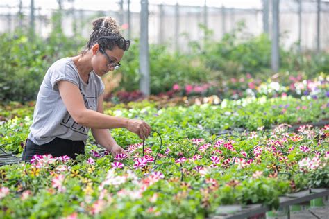 משתלת בן בן המשתלה המובילה לצמחי בית וחוץ