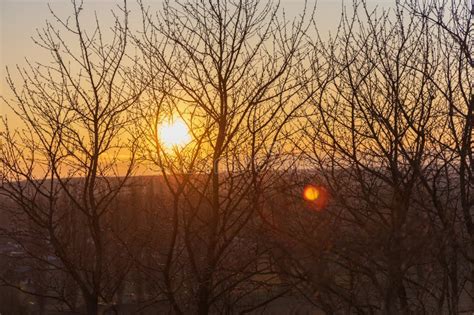 Meadow With Trees And Flowers Setting Sun In The Landscape Stock Image Image Of Sunset