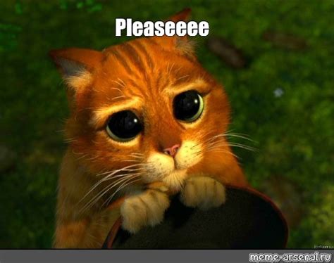 Meme Pleaseeee All Templates Meme