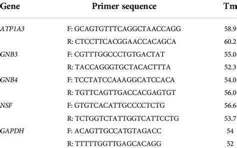 Mrna Specific Primer Sequences Download Scientific Diagram