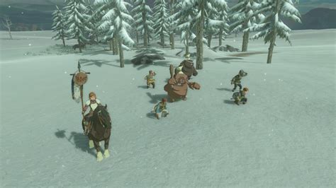 Filetotk Monster Control Crew Squad Three 2png Zelda Wiki