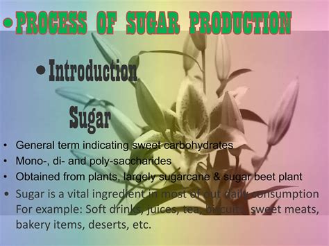 Process Of Sugar Production From Sugarcane Sugar Factory Pdf