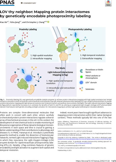 Lov Thy Neighbor Mapping Protein Interactomes By Genetically Encodable Photoproximity Labeling
