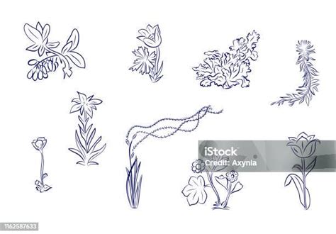 낙서 스타일의 봄과 여름 꽃 컬렉션입니다 손으로 그린 꽃 세트 벡터 일러스트 3월에 대한 스톡 벡터 아트 및 기타 이미지 3월 계절 공휴일 Istock