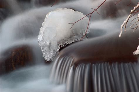 รูปภาพicecles เลือกดูภาพถ่ายสต็อก เวกเตอร์ และวิดีโอ111 Adobe Stock