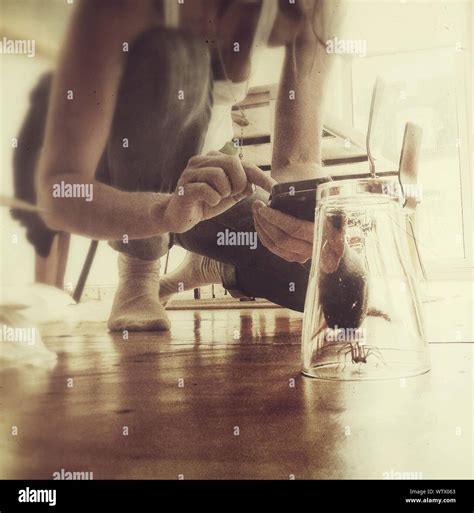 Crouching Spider Hi Res Stock Photography And Images Alamy