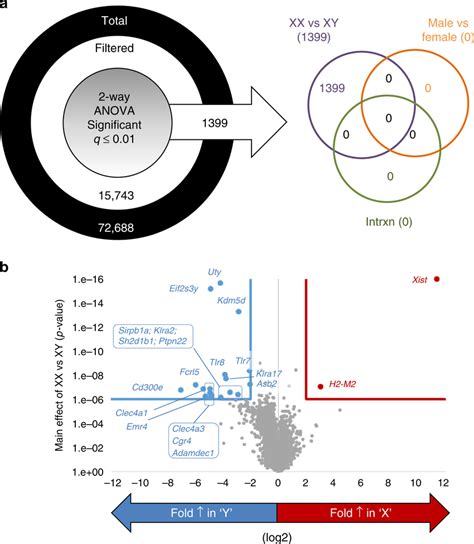 Sex Chromosome Complement Influences Hepatic Gene Expression Of Ldlr−−