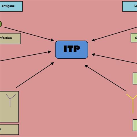 Model For Immune Thrombocytopenia Pathogenesis Download Scientific