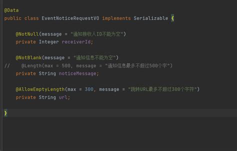 springboot教程二自定义实现的参数校验器，可注解通用所有模块 自定义对象校验器 csdn博客