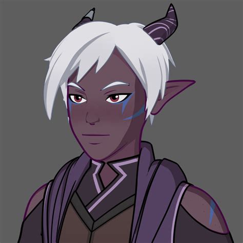 Character Reveal Moonshadow Elf Assassins The Dragon Prince