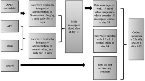 Effect Of Simvastatin On The Sirt2 Nf κb Pathway In Rats With Acute Pulmonary Embolism Pmc