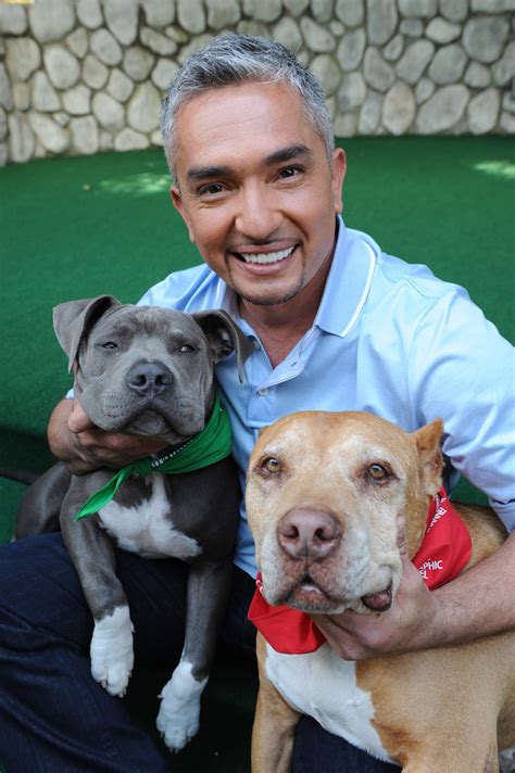 Poze Cesar Millan Actor Poza 8 Din 14 Cinemagia Ro