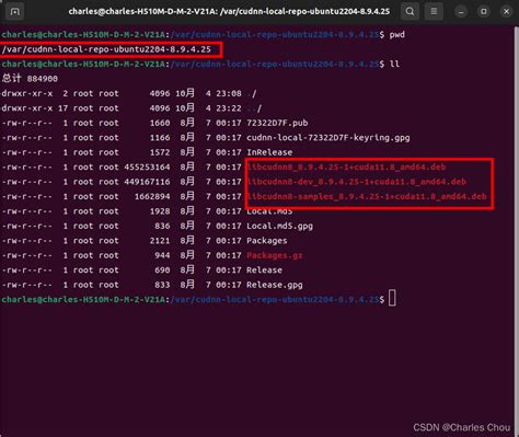 cuda cudnn tensorrt 配置避坑指南 dtcms