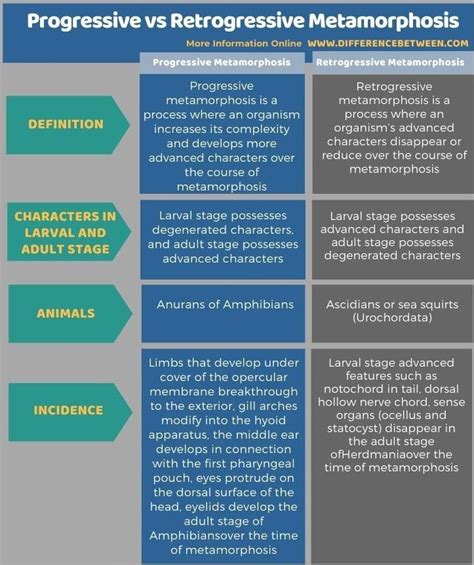Progressive Vs Retrogressive Metamorphosis Tabular Form