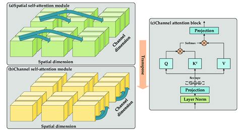 Architecture Of The Dual Attention Encoders A Spatial Self Attention