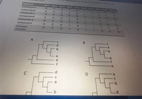 Solved Ctree Dtree Atree Cnone Of The Trees Depicted Is