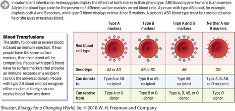 Chapter 12 Complex Inheritance Diagram Quizlet