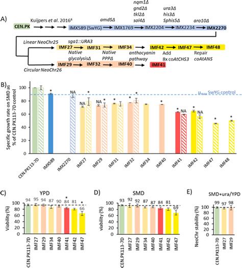 模块化合成染色体用于酿酒酵母大规模代谢工程 知乎