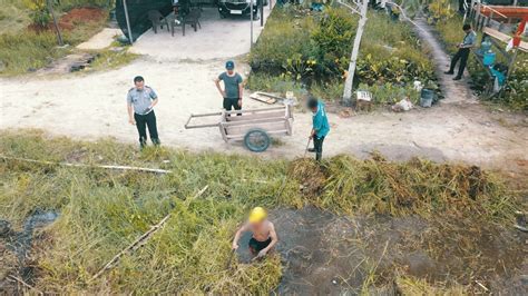 Lapas Sampit Manfaatkan Lahan Kosong Untuk Program Ketahanan Pangan WBP - Talawang News