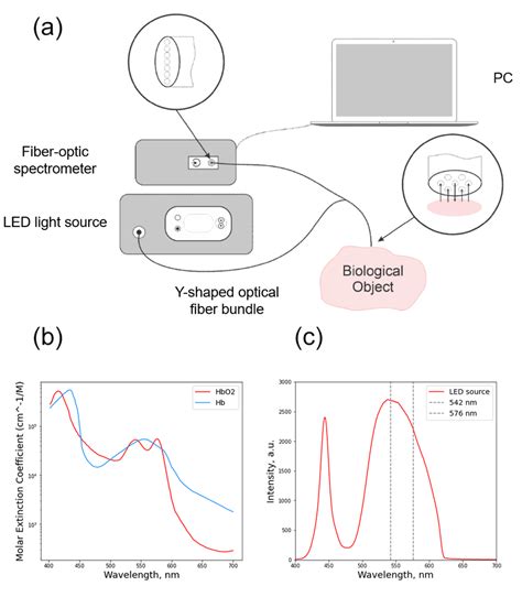 A The Experimental Setup Consisting Of A Source Of Broadband Light Download Scientific