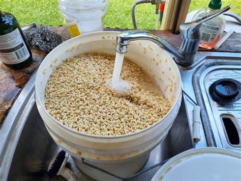 Brewing With Ceoliac Disease Page 16 Make Beer At Home Forums Brewers Friend