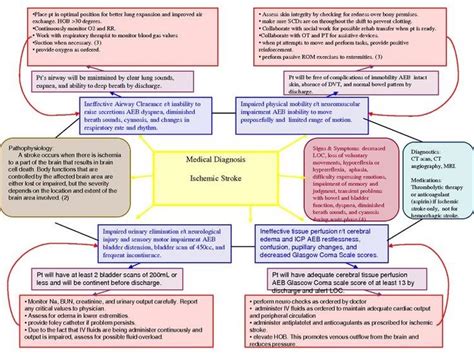 Pathophysiology Concept Map Template