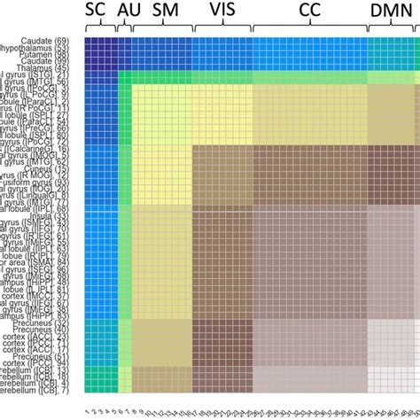 Illustration Of How The Functional Connectivity Matrix For The 53