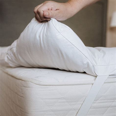 Bespoke Home Lifson Goose Feather And Down Mattress Topper