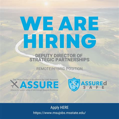 Join The Assure Team As The Deputy Director Of Strategic Partnerships
