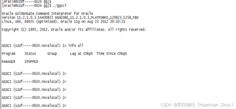 使用goldengate完成sqlserver到oracle的数据实时同步sql Server 到 Oracle使用ogg同步 Csdn博客