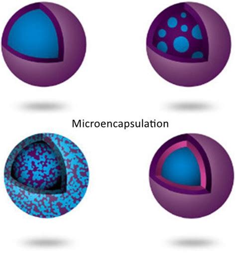 Can Microencapsulation Technology Be Used For Herbal Extracts News