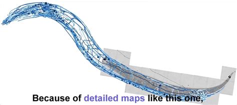 C Elegans An Elegant Way To Study The Brain