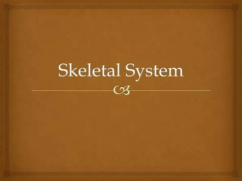 PPT Skeletal System PowerPoint Presentation Free Download ID