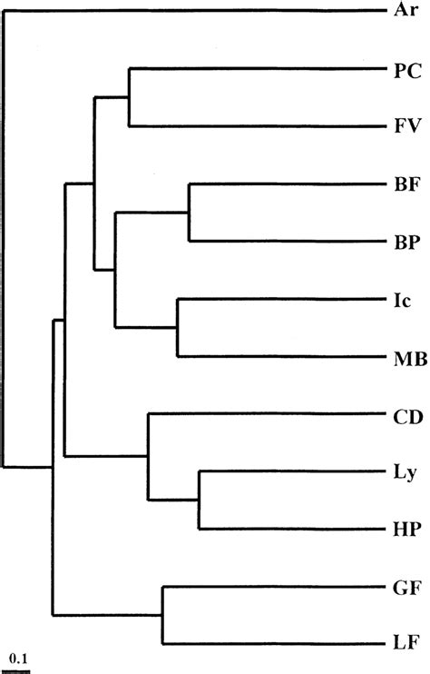 u p g m a u p g m a clustering procedure using mahalanobis d 2 on the