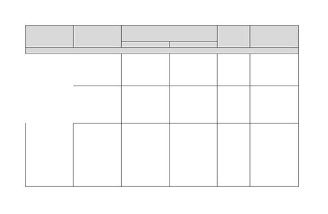 Developmental Needs Strengths Development Needs Action Plan