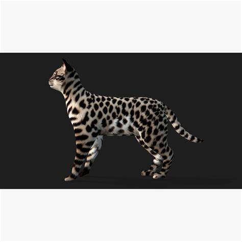 Leopard Cat A2 3d 모델 다운로드 포유류 On