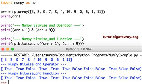 Python Numpy Bitwise Operators